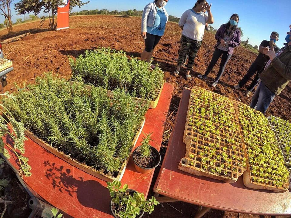 Huerta Comunitaria - Uninter